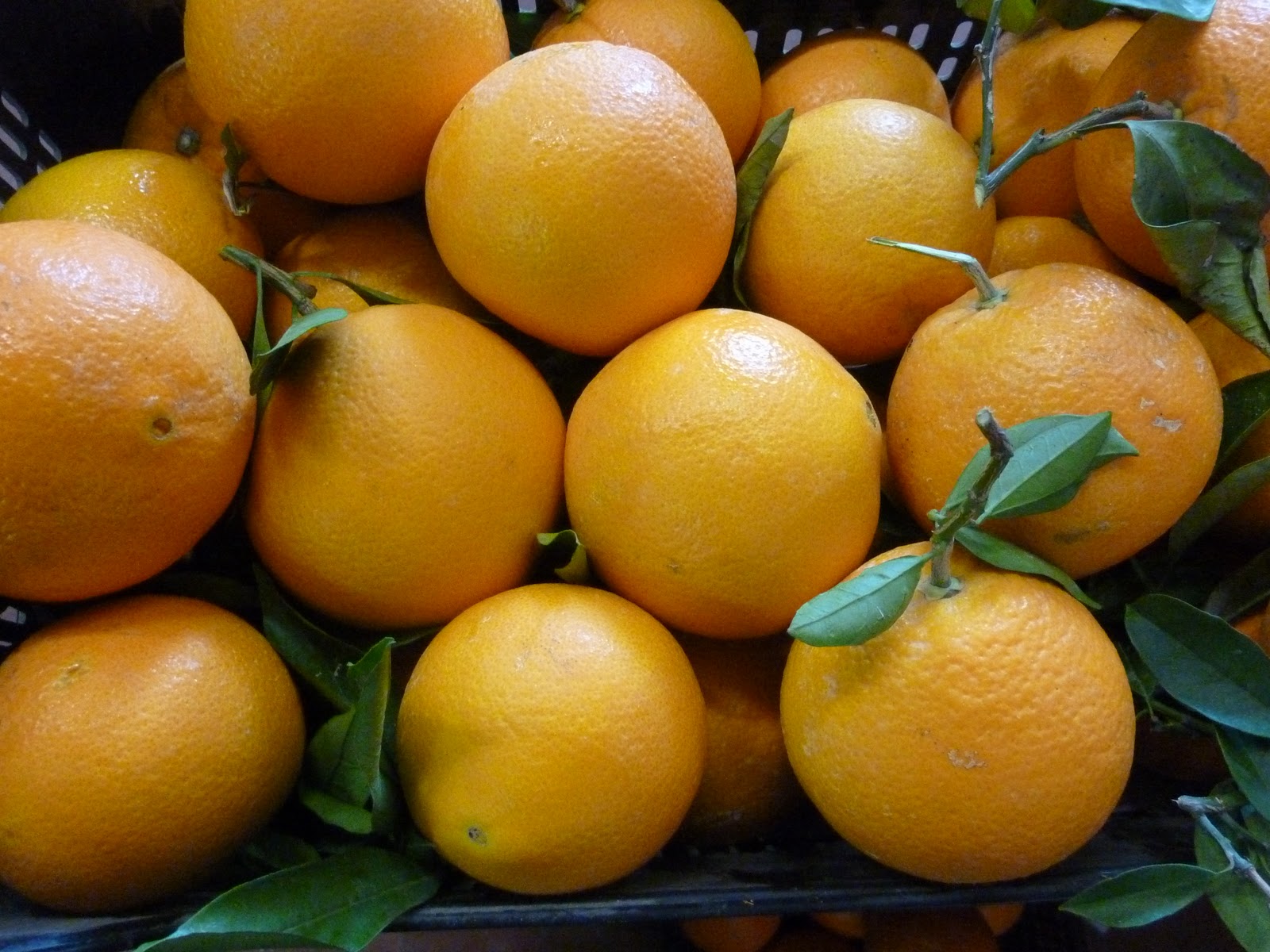 ¿Comes fruta?: marzo 2011