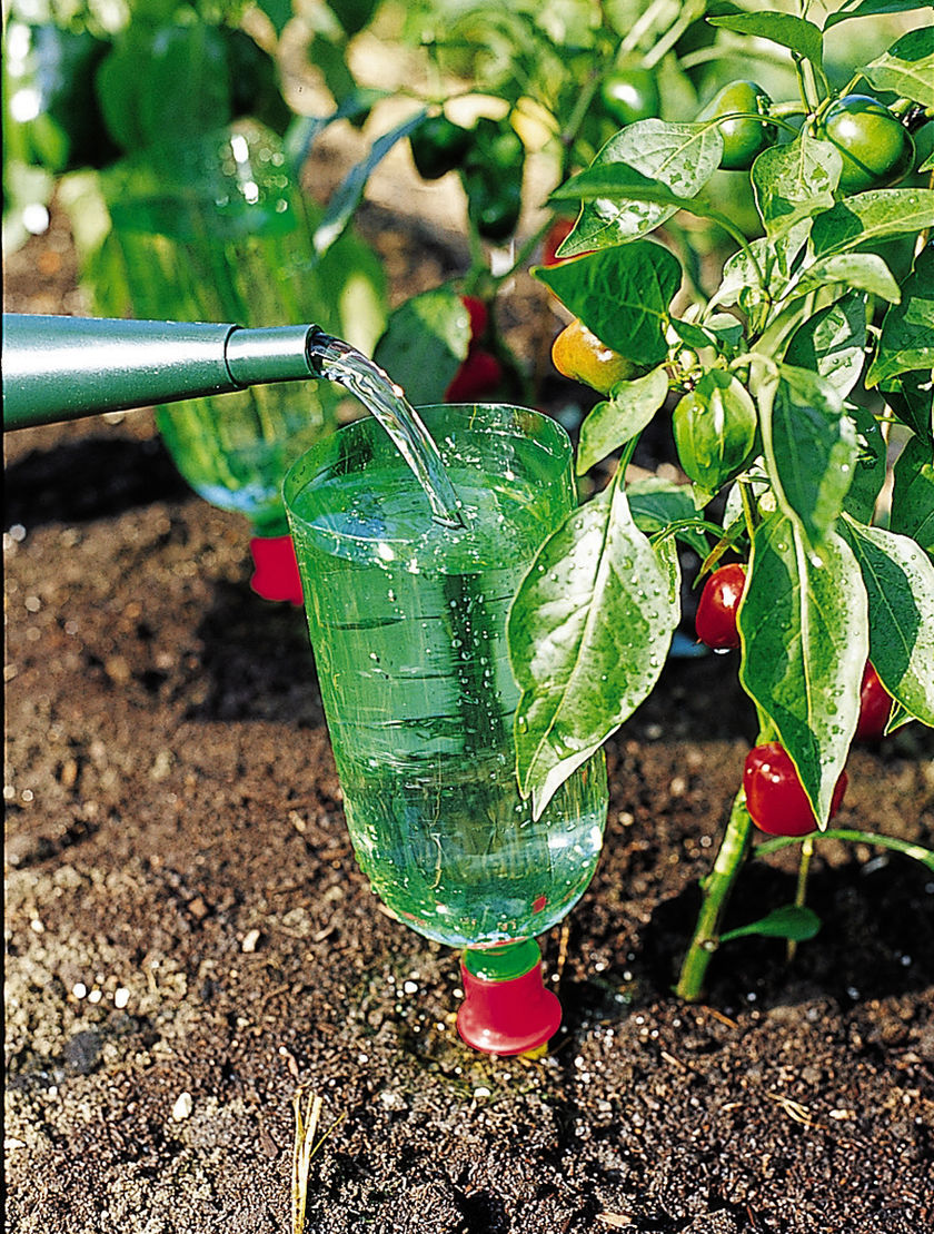 Quiltlady's Gardens: Recipe for Miss Pauletta's Perfect Tomato Food