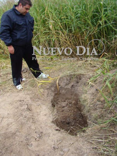 LA VIDRIERA DE LEONES: LEONES : NOVEDADES EN EL CASO LIDIA CANO.