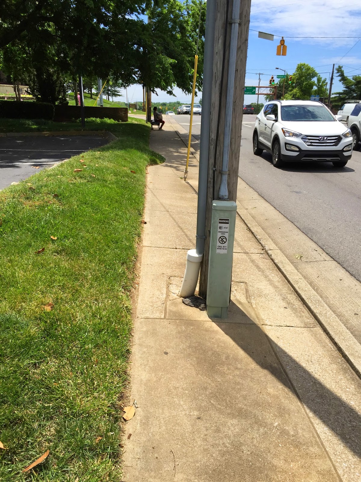 Shade Parade: The Pros and Cons of Urban Trees...