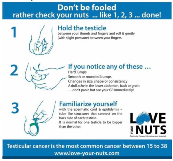 Hidup Sehat Sampai Usia Lanjut: Periksa Testis Sendiri untuk Deteksi ...
