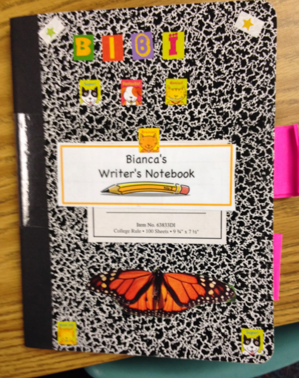 Writing Workshop in 2nd grade: Cycle 3- Writer's Notebook