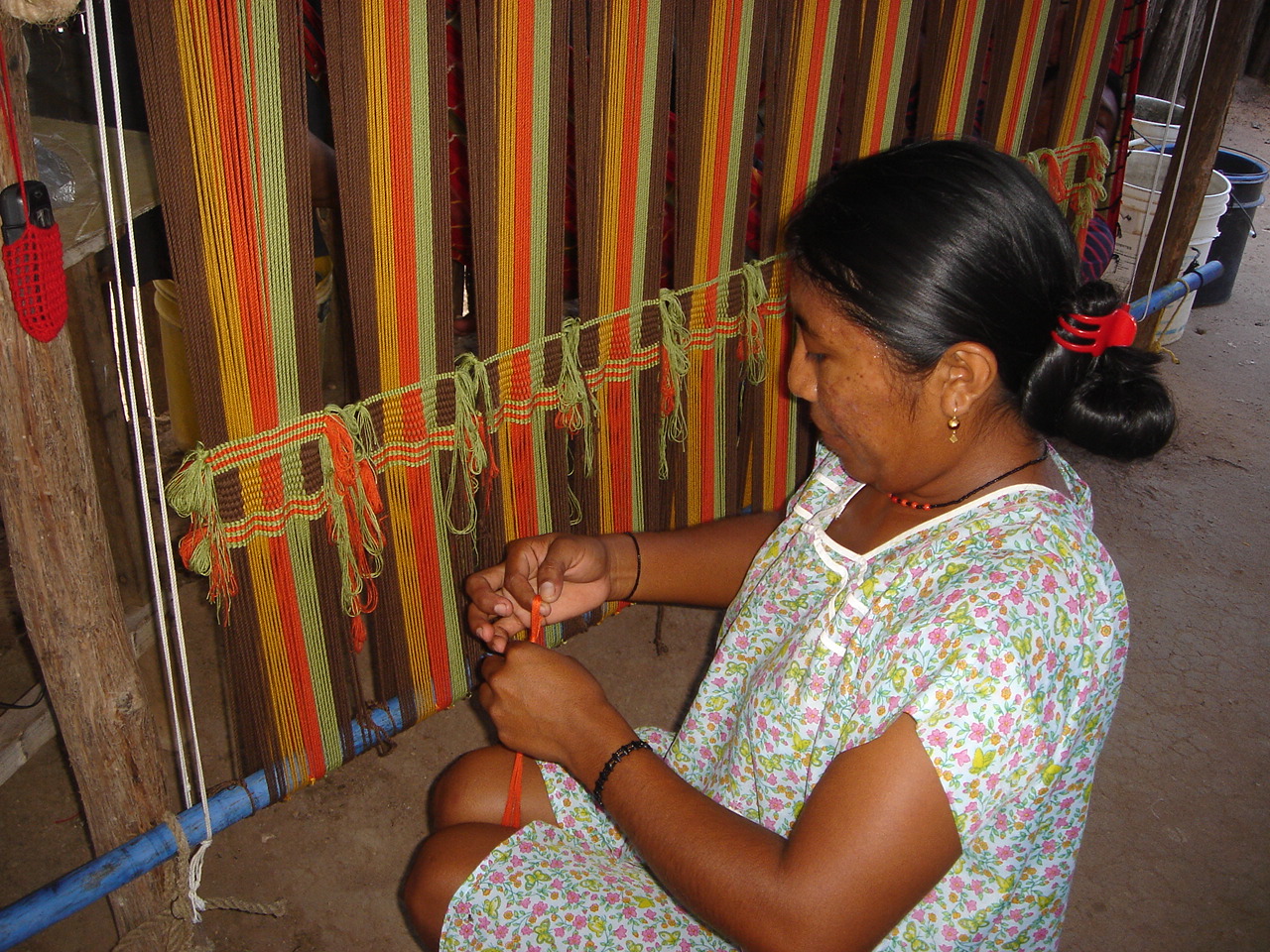 Wayuu Mochila: Wayuu Indigenous