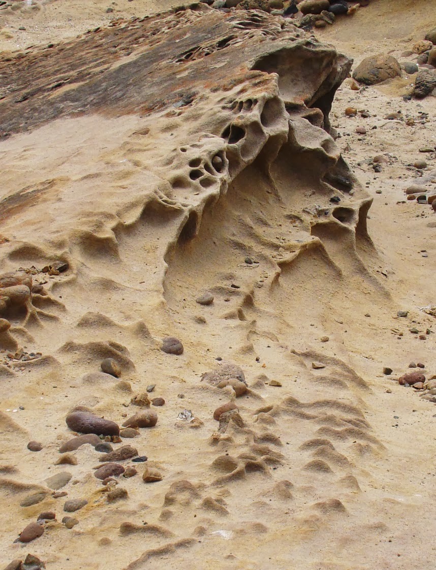 Geotripper: Where the Sierra Nevada Rises From the Sea: Sea Wolves and ...