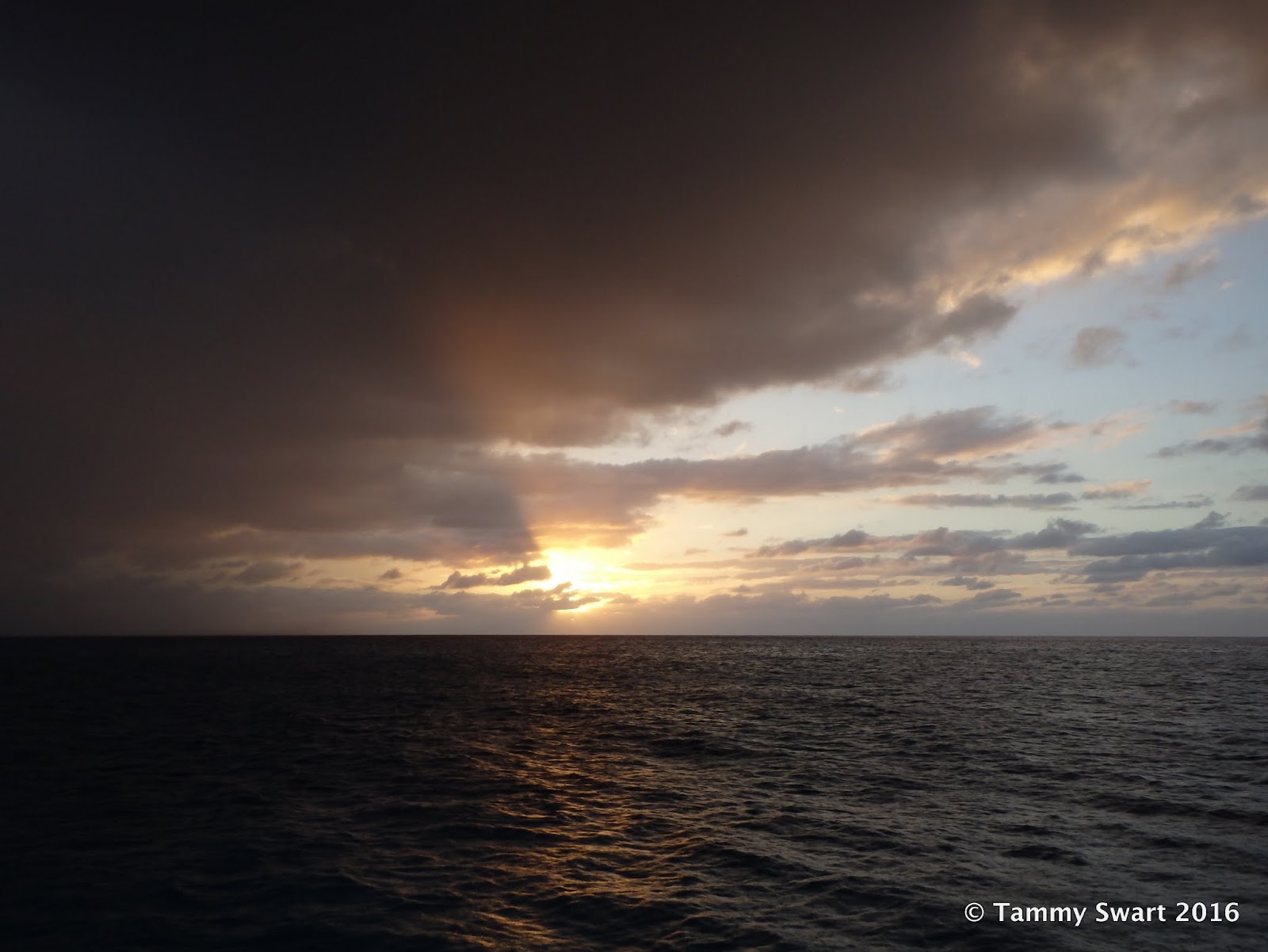 Things we did today...: Great Inagua Far Bahamas