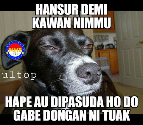 BERIKUT INI MEME TENTANG KE HIDUPAN ORANG BATAK BAGIAN 2 - PANIASI MALAI