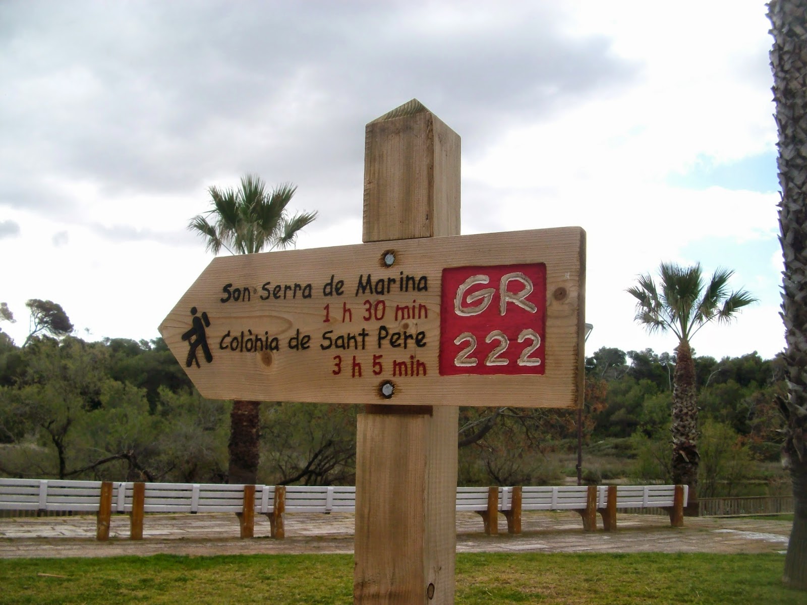 El blog de 6è B 2013-2014 Ceip Son Rullan