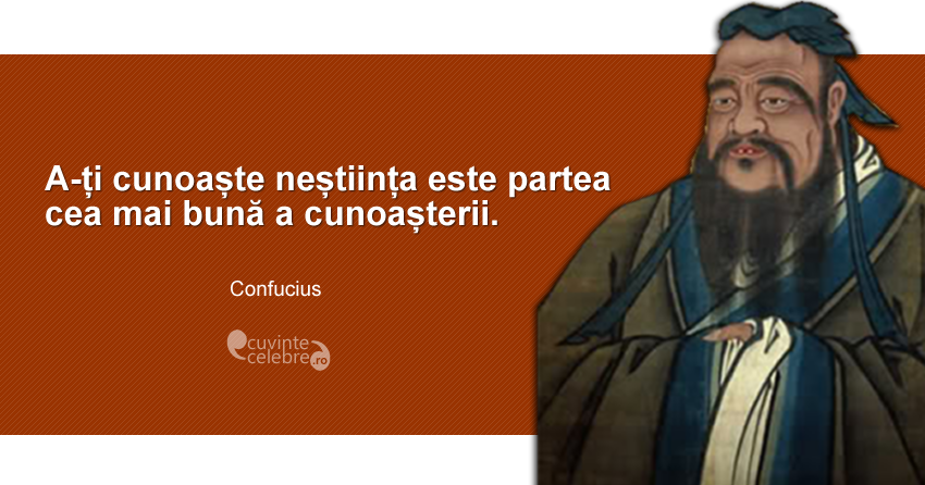 Floare de Colt : Citate favorite (8)-Idei despre cunoastere