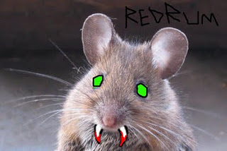 Two Men and a Little Farm: OF MOUSE AND 1ST MAN