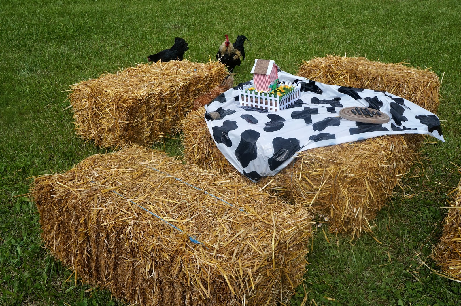 BOYS WILL ALWAYS BE BOYS: FARMER ADRIEN BIRTHDAY PARTY