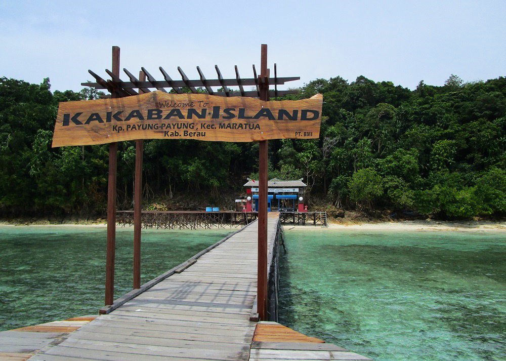 Tropical Beauty of Kakaban Lake as an Awesome Holiday Destination ...