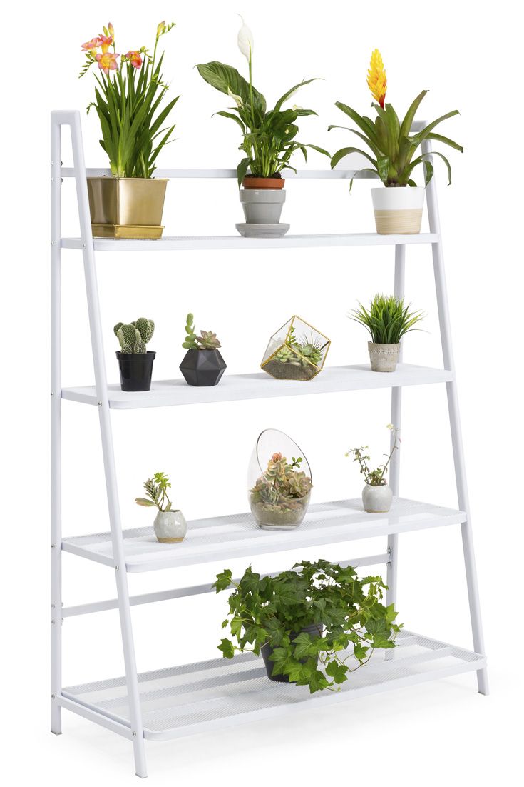 Percantik Hunian dengan 60 Rak Tanaman Minimalis - Rumahku Unik