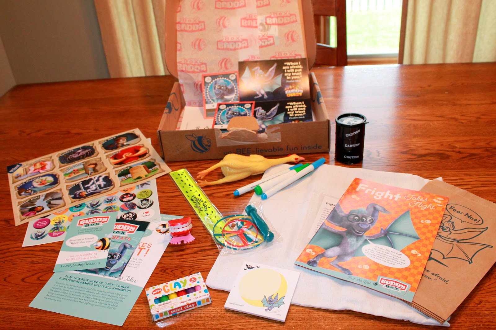 Clothed with Grace: Fun with the Buddy Box Program