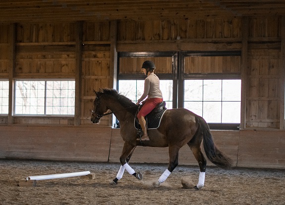 'Fraidy Cat Eventing: Circles + Cavaletti + Cocoa: Part II