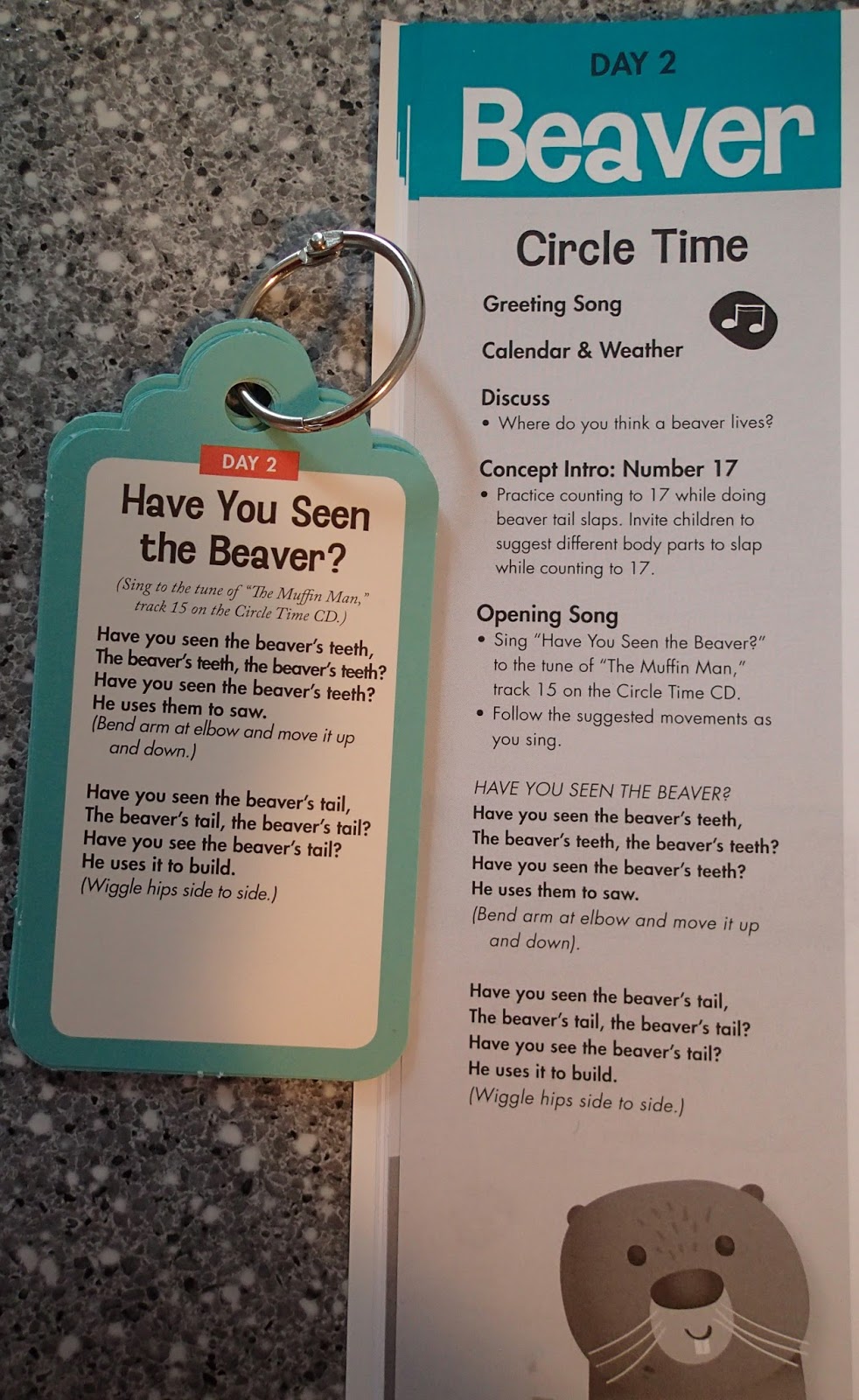 1 Day at Home: Beavers