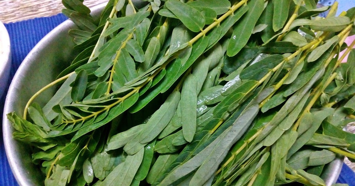 SurayaMSyed: Masak Lemak Sayur Turi