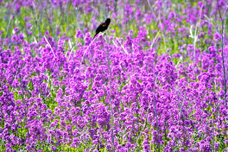 Christian Begeman: Late Spring Scenes in South Dakota