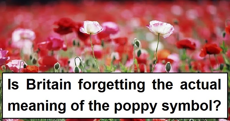 Is Britain forgetting the meaning of the poppy symbol?
