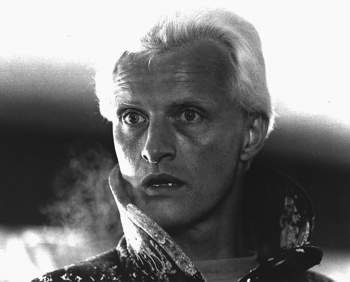 Movie Memorabilia Emporium: Blade Runner Promotional Photos