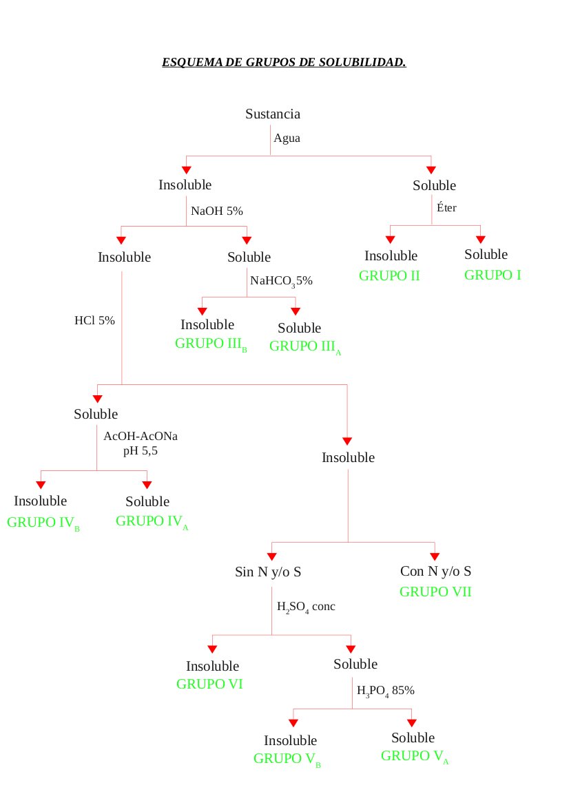 Grupo 1a 6 PrÁctica De Solubilidad