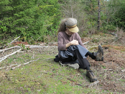 Flitzy Phoebie: Hiking Morgan Marsh Trail