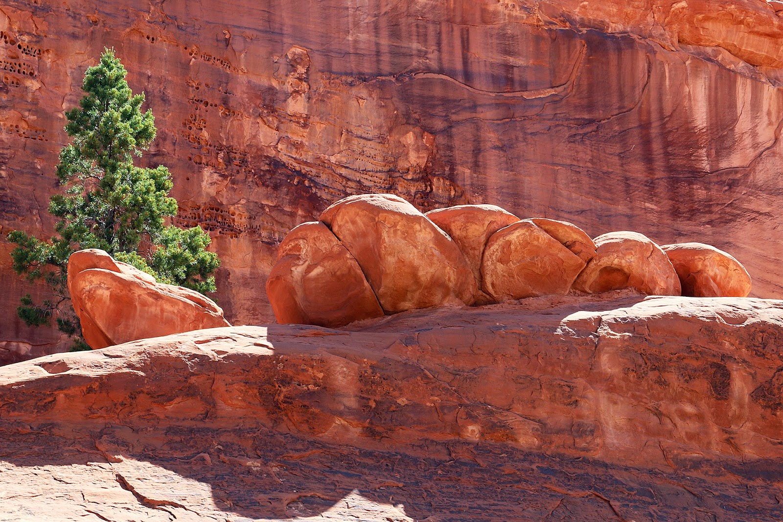 A is for Adventure: Devils Garden Primitive Loop at Arches National Park