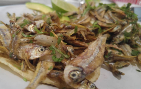 CAPIZ BEST SEAFOODS: CAPIZ BEST SEAFOODS