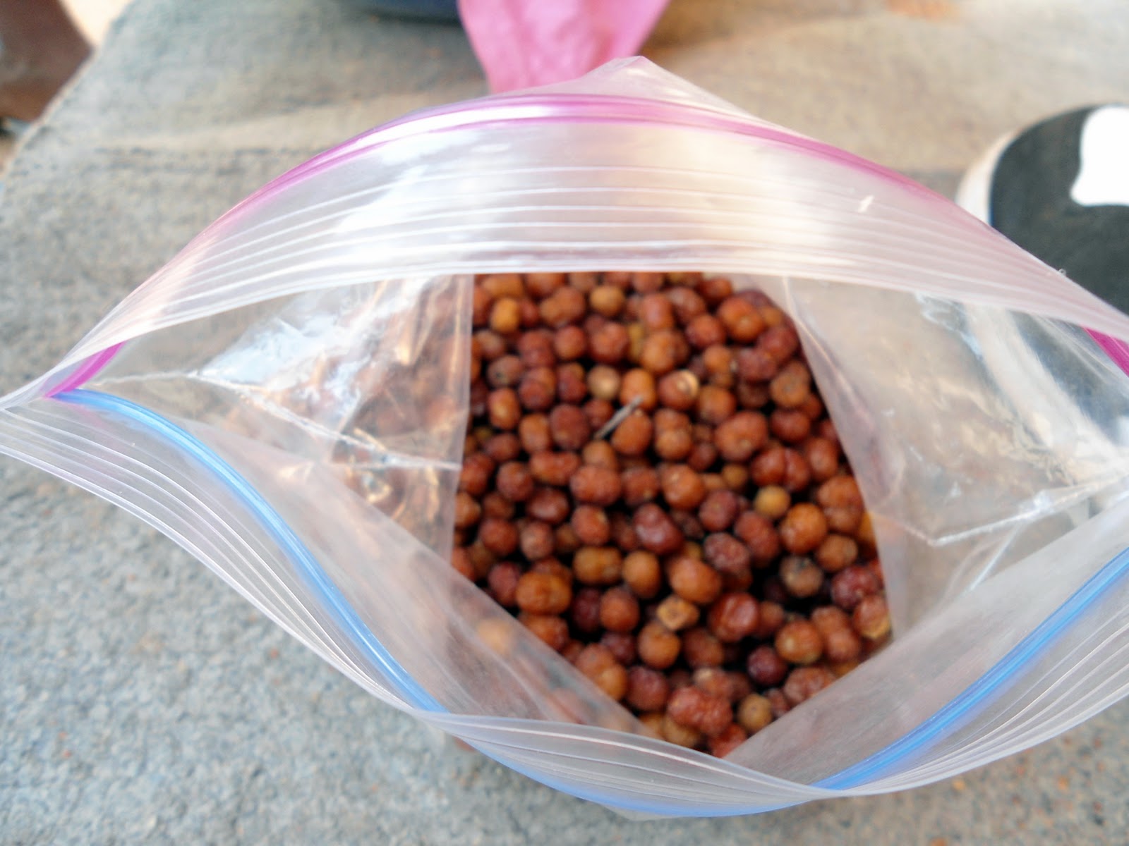 Botswana Adventure: Top 11 Moments of 2011: Number 9