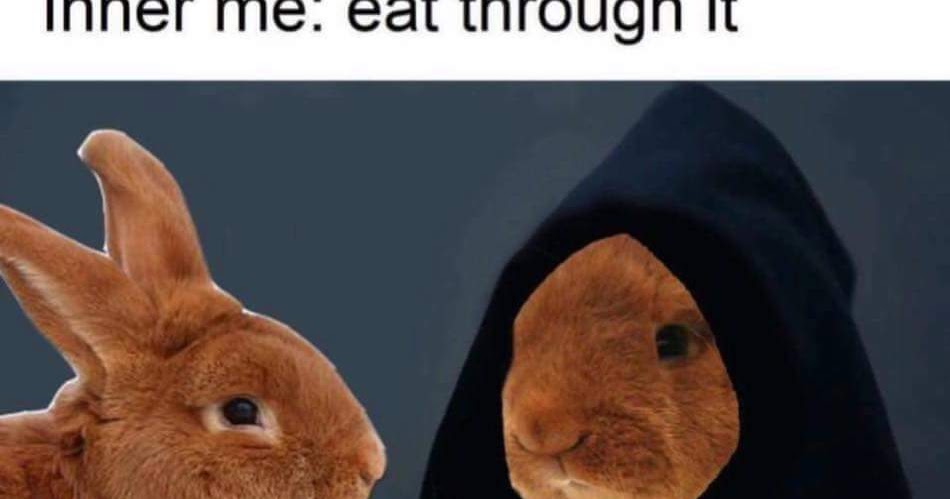 Rabbit Ramblings: Funny Bunny Monday Meme*day