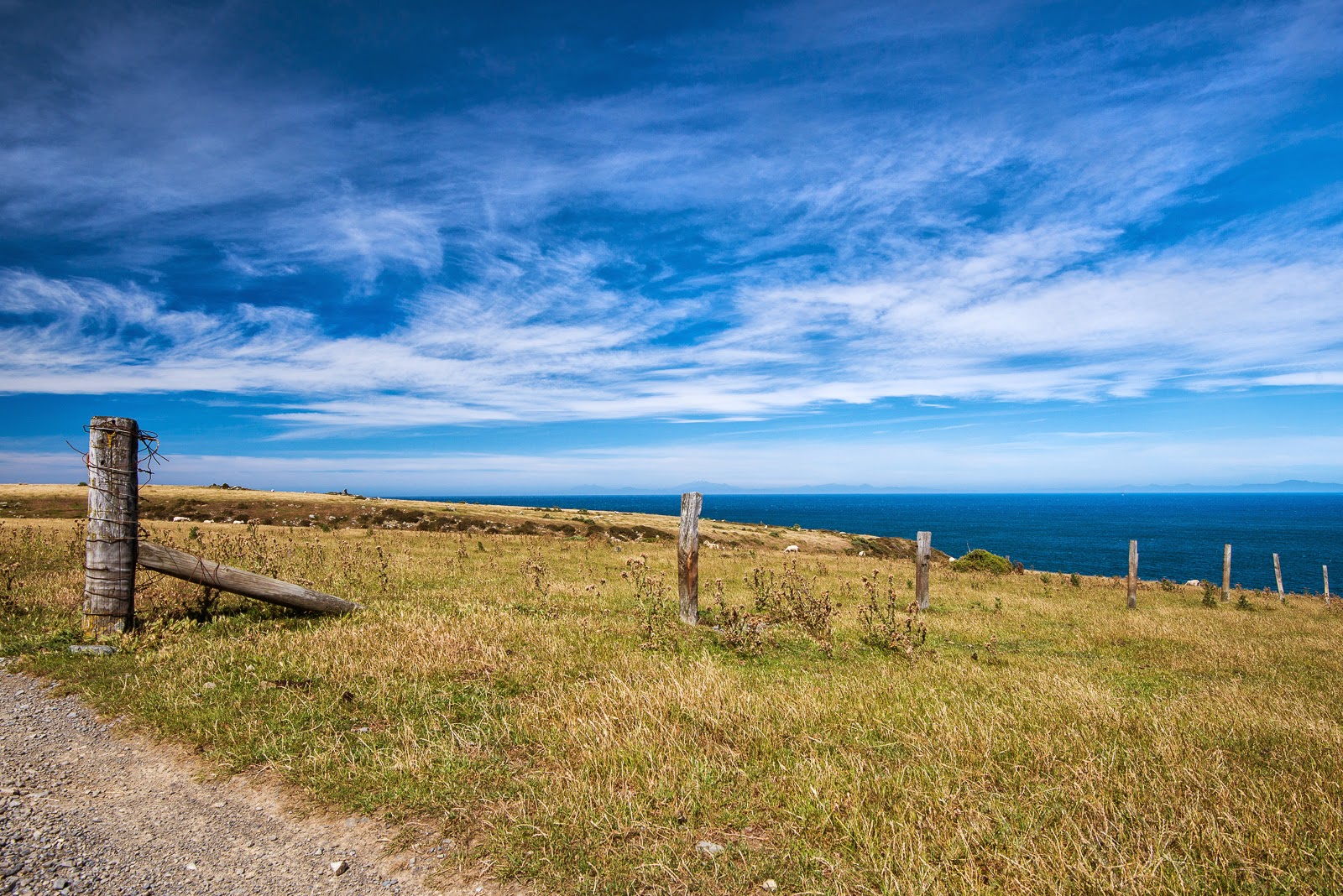 NZ Must Do: Adventures in Wellington - the walk to Baring Head ...