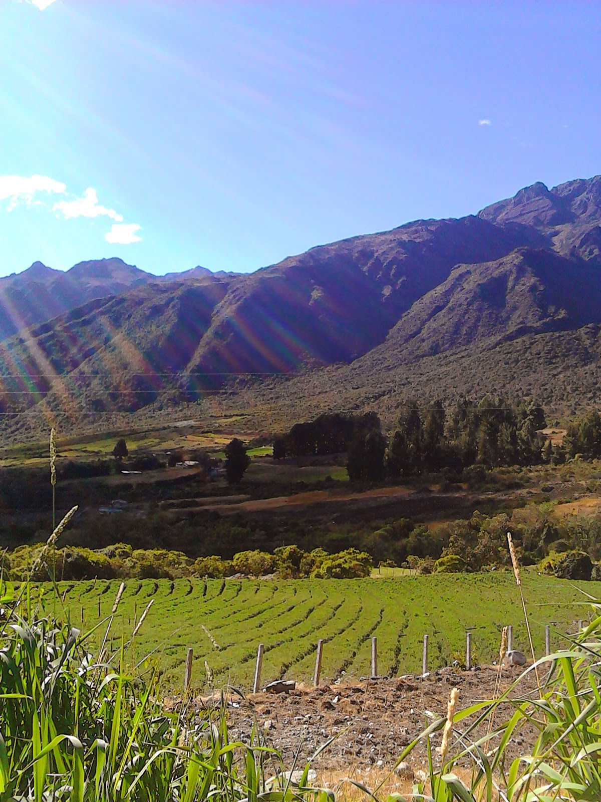 Paisaje de los Andes venezolanos