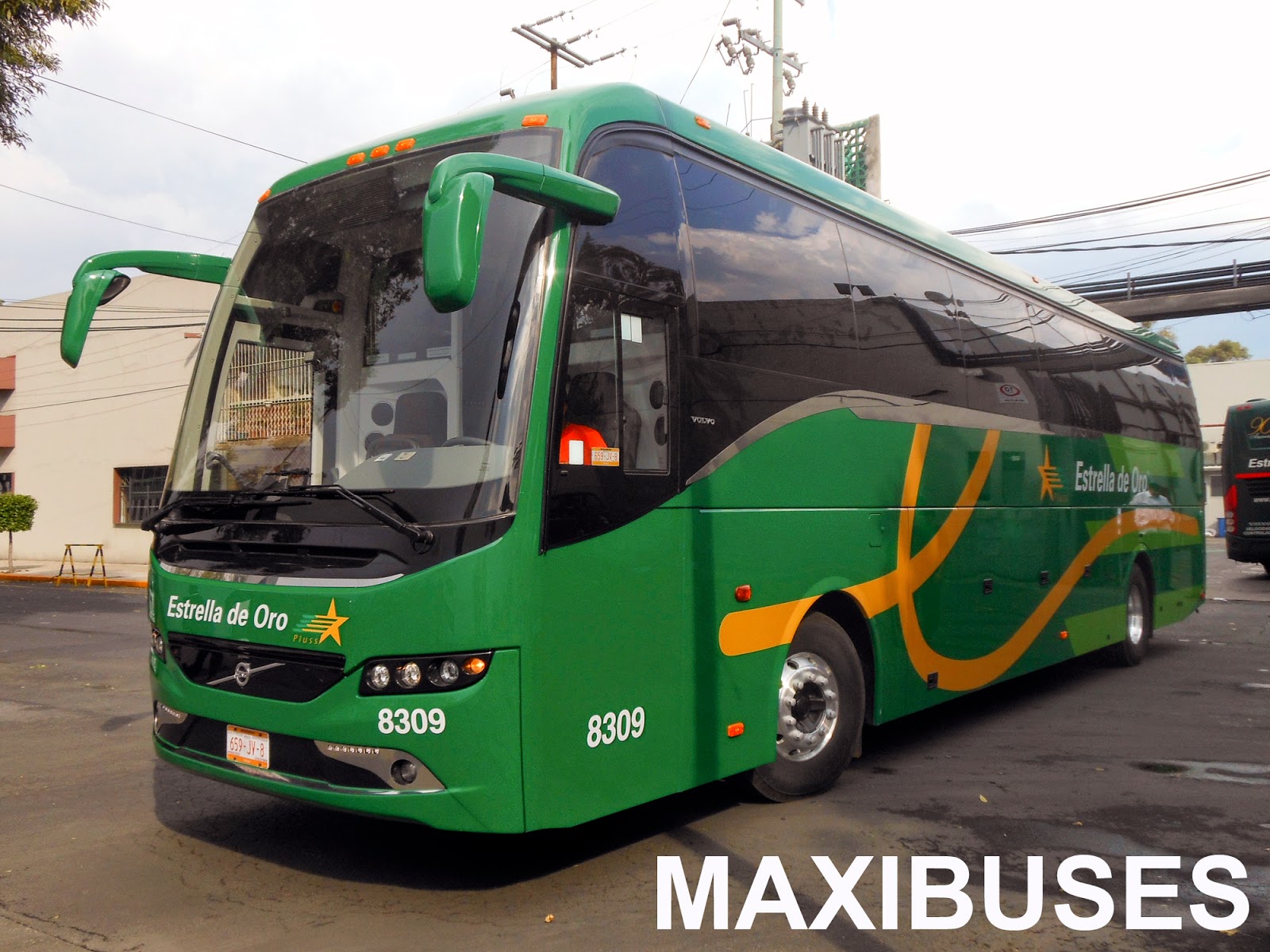 MAXIBUSES: ESTRELLA DE ORO PLUSS