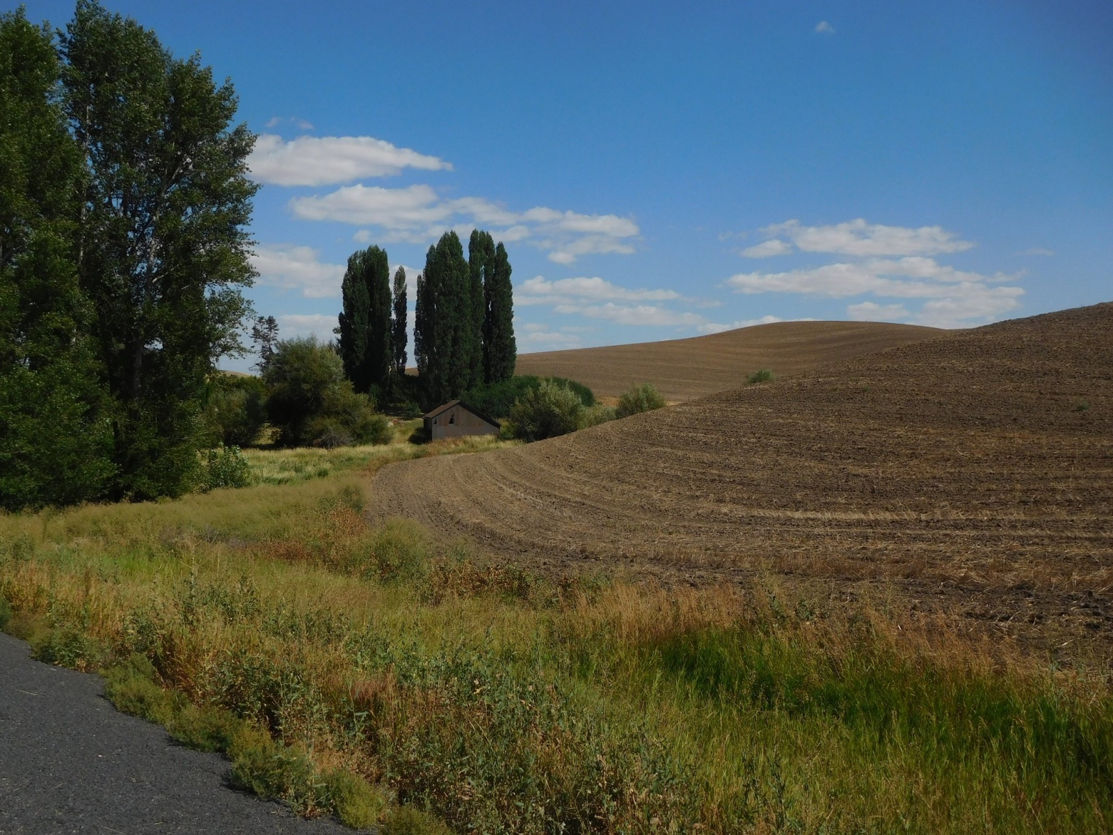 Editorials from Theslowlane: We'll need to figure out how to survive ...