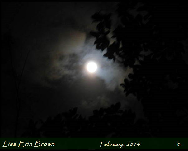 musings from the marsh...: The Full Moon's Roar...