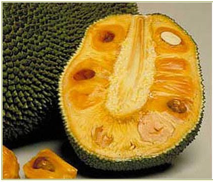 Health Care: Health Benefits of Jackfruit