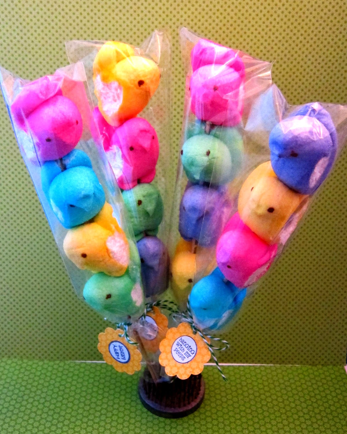 BugBites: Peeps on a Stick!