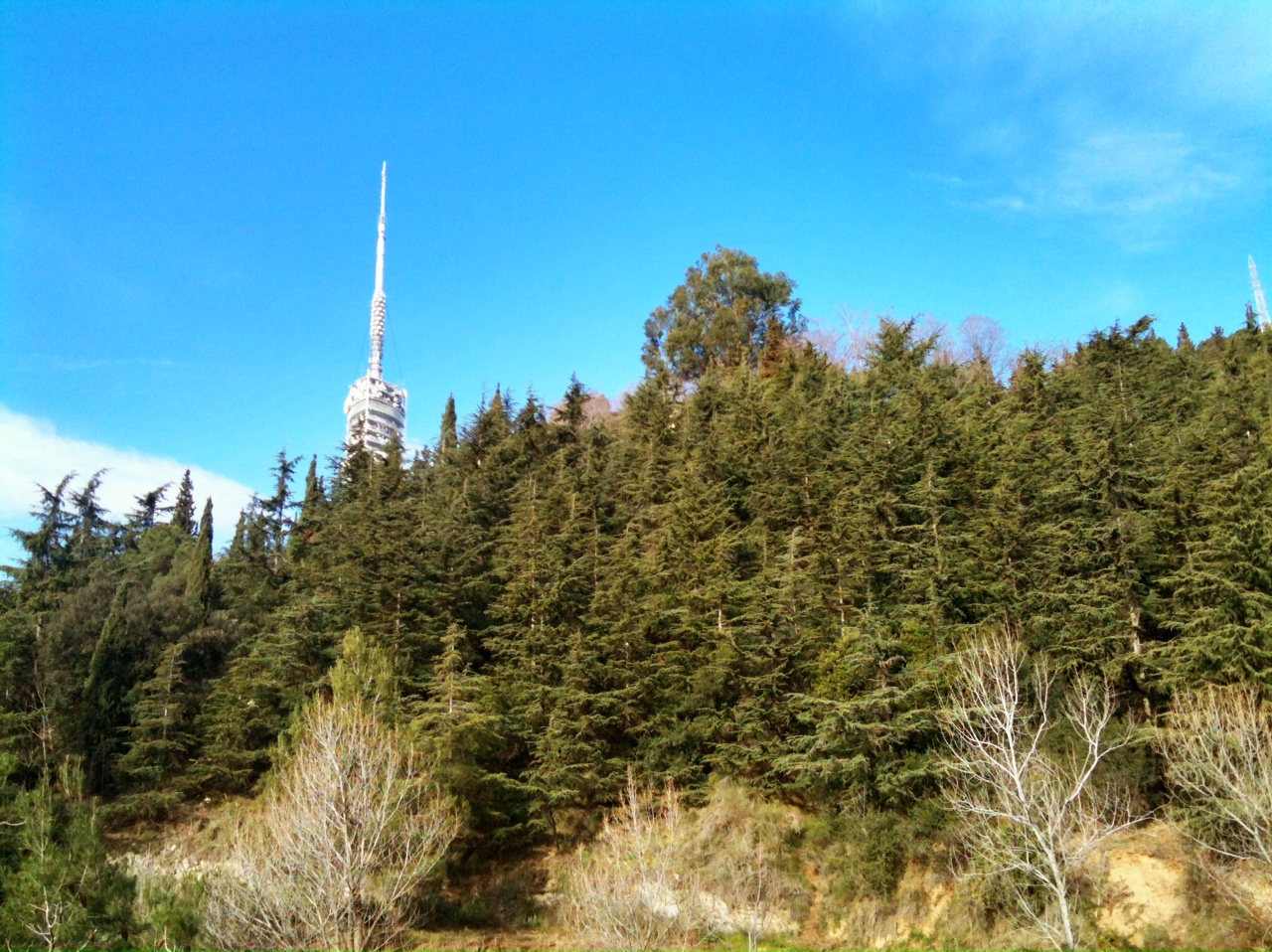 Paseos con Lisa: En Collserola