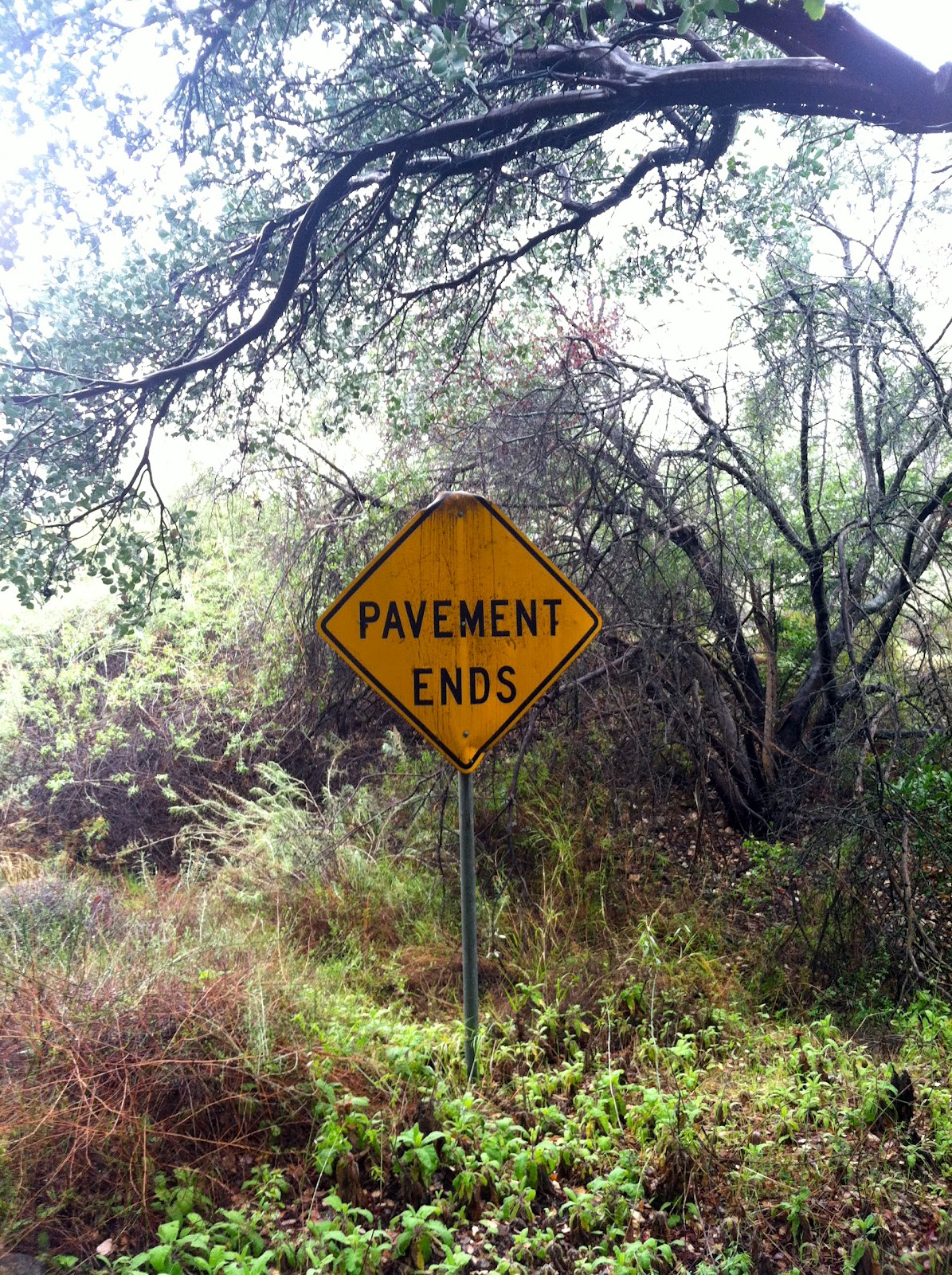 DylanLovesBikes: Condors take flight! 2012