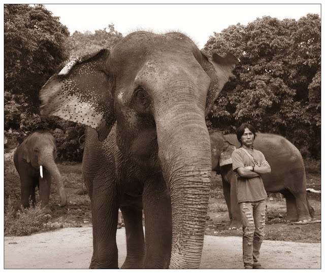 The Kendrick's Adventures!: Northern Thailand - Chiang Mai