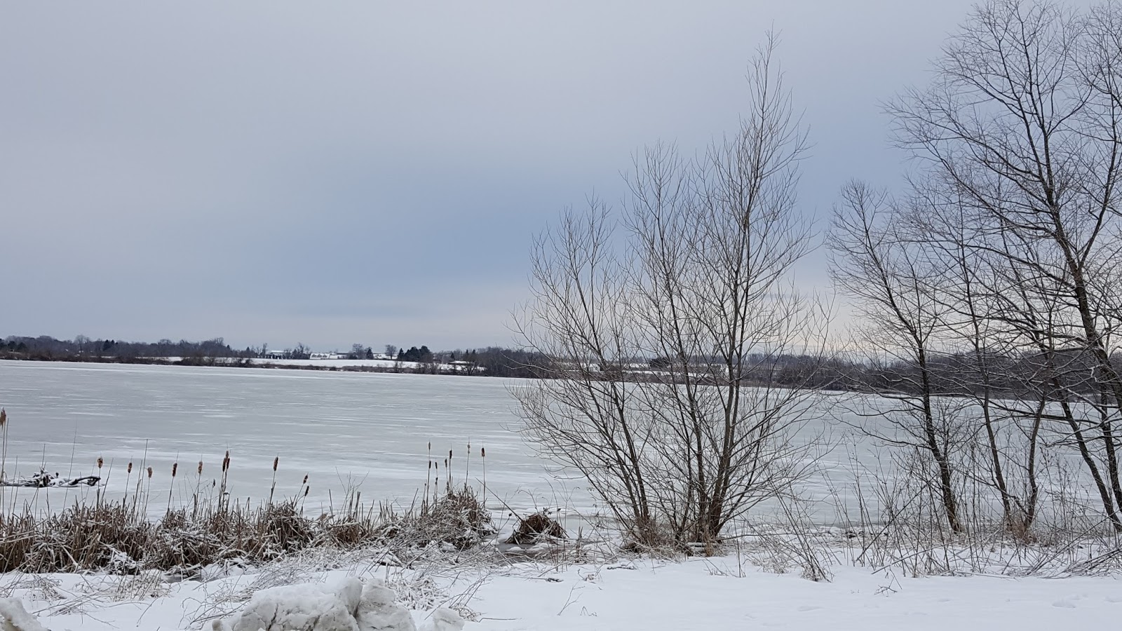 My journey in nature's back yard!: Struble Lake