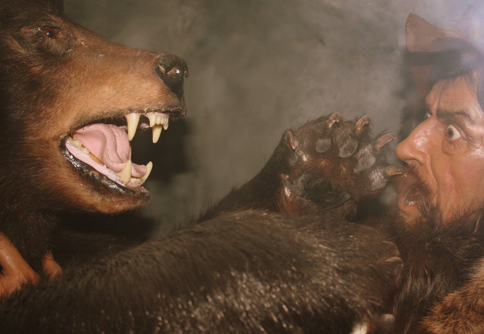 The Carpetbagger: Some of My Favorite Taxidermy