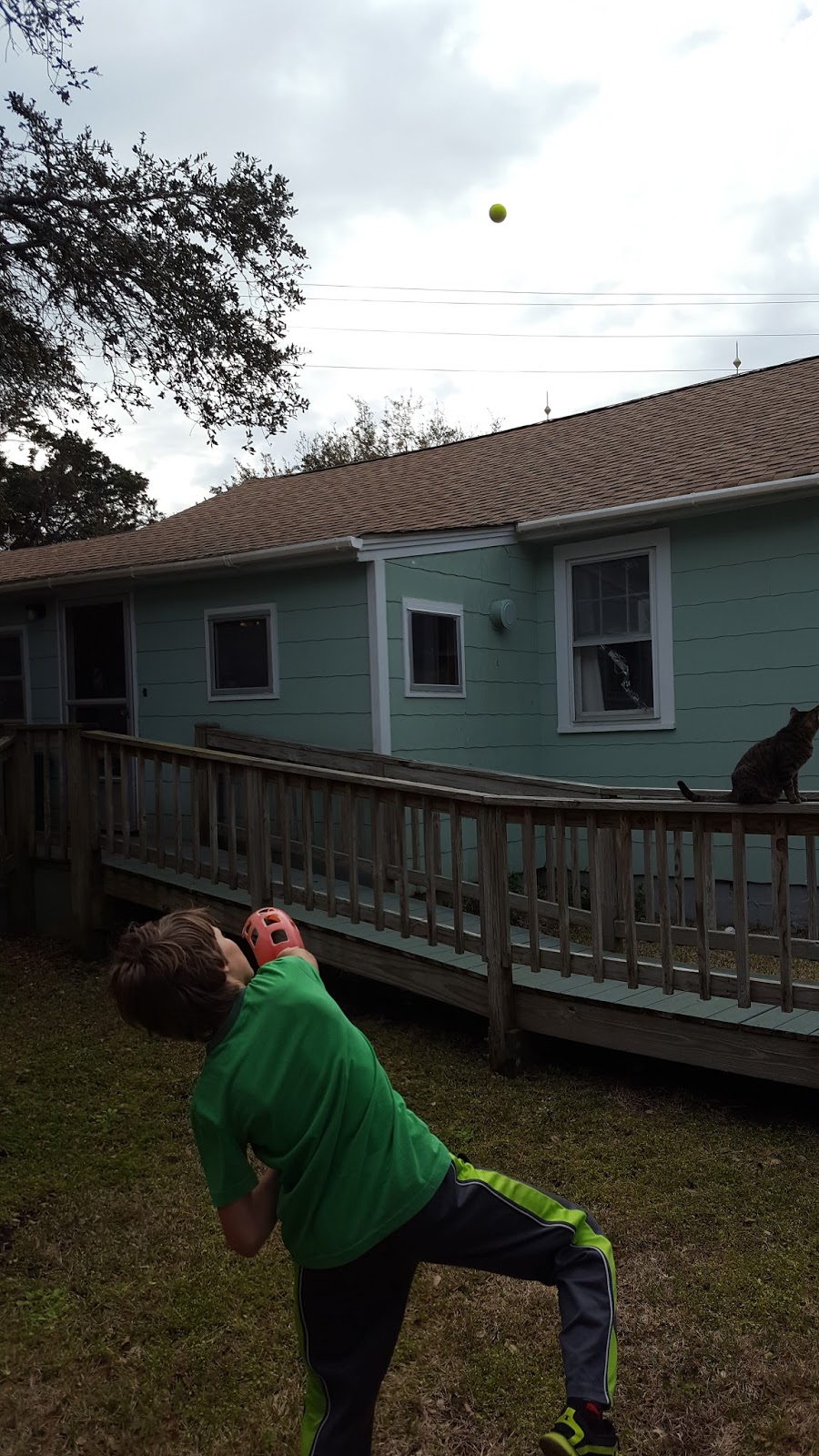 Ocracoke Island Journal: Annie Over the House
