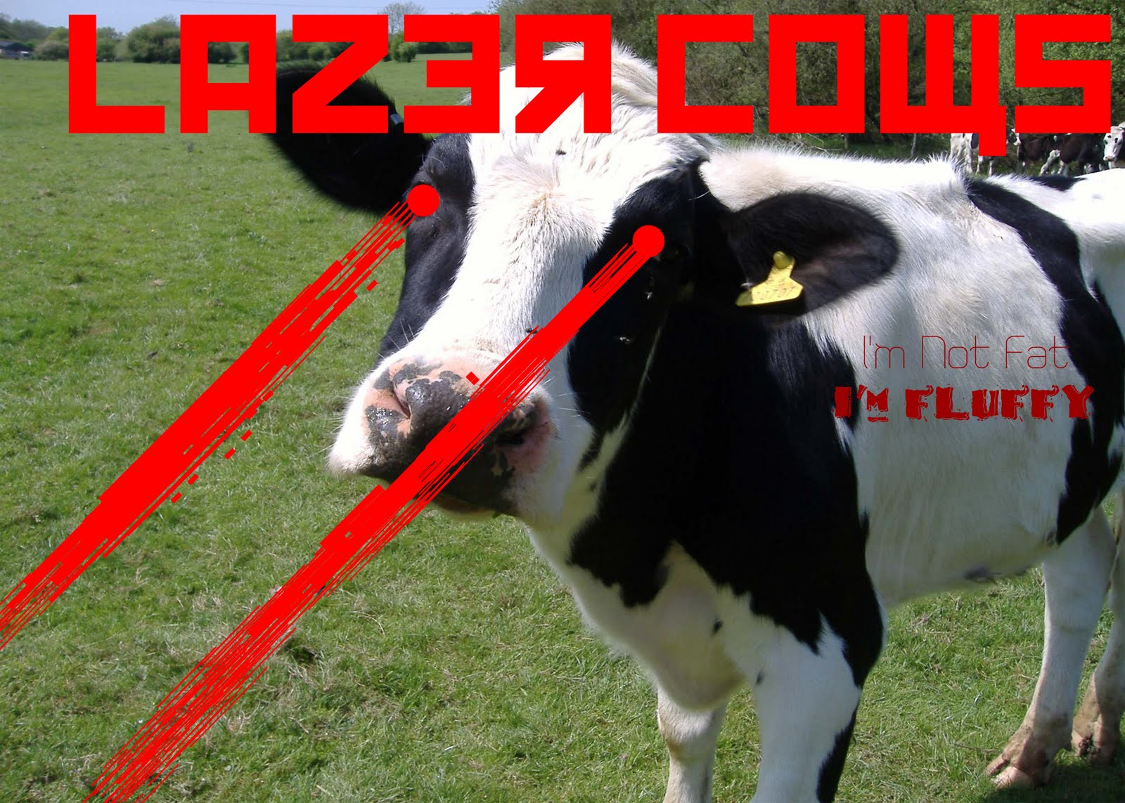 Team Laser Cows