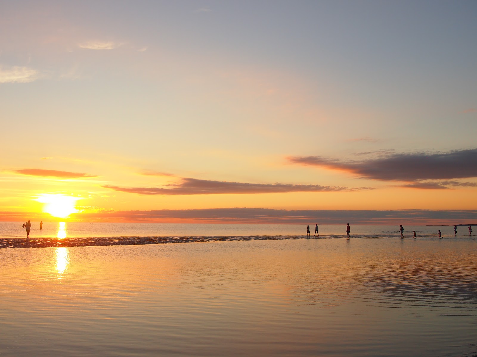 Black Swamp Cornucopia: First Encounter Beach, Cape Cod, Massachusetts