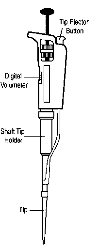 Volumetric Pipette Diagram