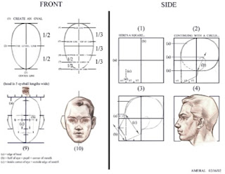 Jason Cytacki Teaching: Proportions of the Face / Planar Analysis