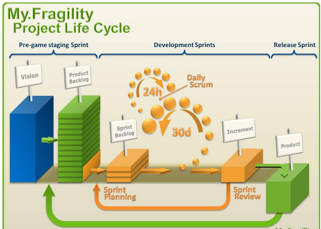 Project lifecyles or methodologies: Project lifecyles (Predictive ...
