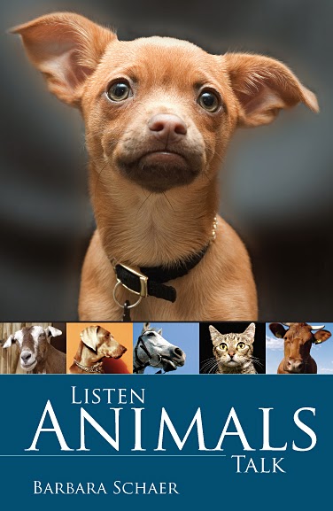 Animal communication, the voice for your pet: Talking with the animals