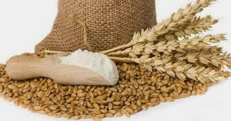 BERBAGAI MANFAAT BIJI GANDUM - Rangkuman Cara Bertanam Lengkap
