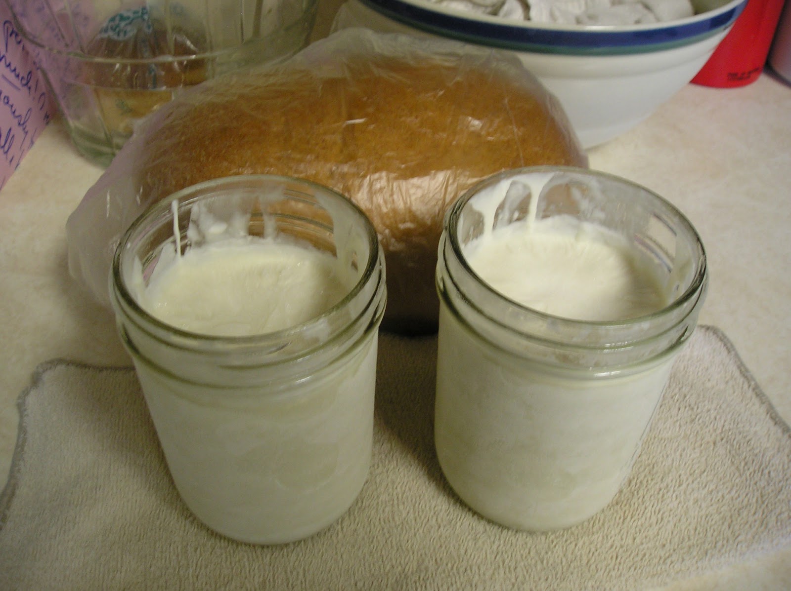 Thoughts from Frank and Fern: Making butter